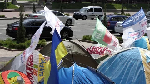 Victims Voice Stock Videos – Royalty-Free HD & 4K Videos