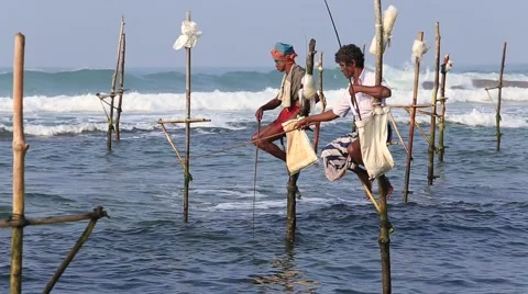 Fishing Pole Video Stock Videos – Royalty-Free HD & 4K Videos | Page 2