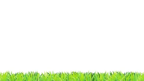 Growing Grass Animation Stock Footage ~ Royalty Free Stock Videos | Pond5