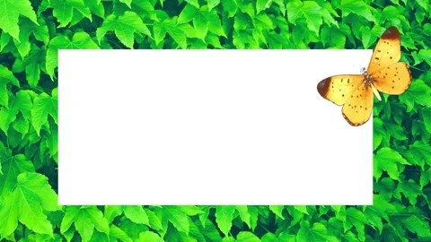 Video Animation: Green Leaves Border wit... | Stock Video | Pond5