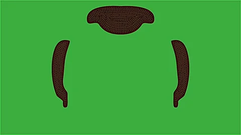 Video animation of a hair moving on a gr... | Stock Video | Pond5