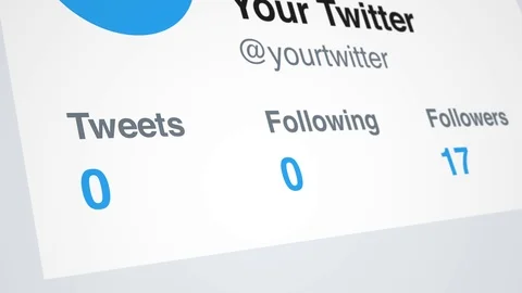 Twitter Followers Icon