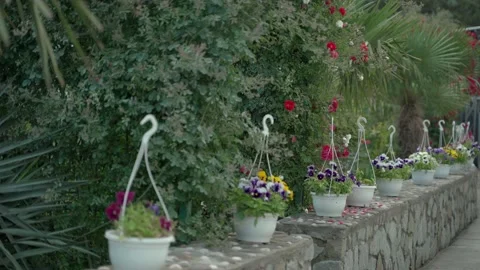 Video Prots Stock Videos – Royalty-Free HD & 4K Videos