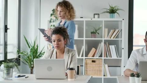 Team Together Video Stock Videos – Royalty-Free HD & 4K Videos