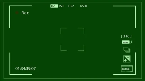 Video Camera Recording Overlay Vídeos Stock | Video Camera Recording Overlay Vídeos | Pond5 ...