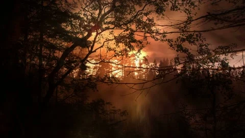 Hot Video Clip Stock Videos – Royalty-Free HD & 4K Videos