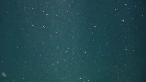 Underwater Dust Stock Video Footage | Royalty Free Underwater Dust ...