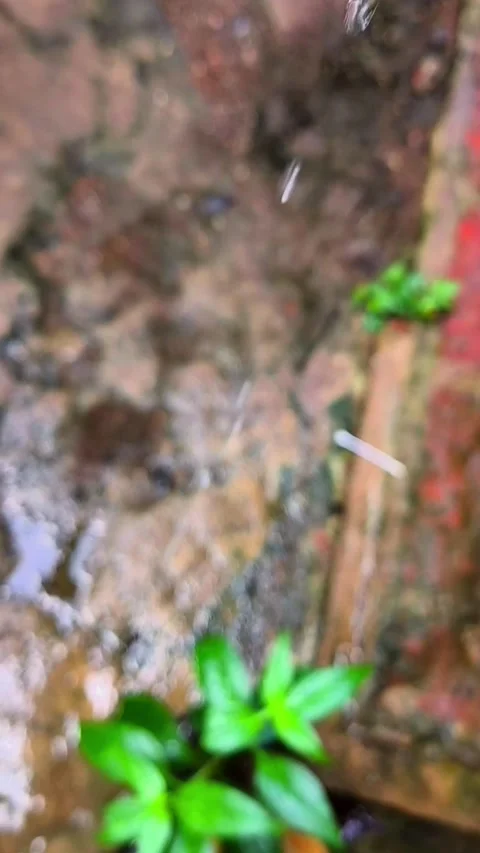 Dripping Water Video Stock Videos – Royalty-Free HD & 4K Videos | Pond5