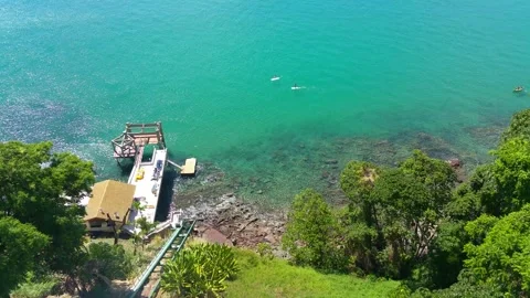 All Green Video Stock Videos – Royalty-Free HD & 4K Videos