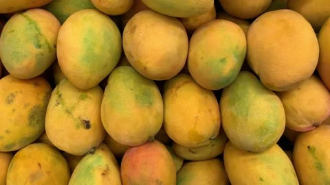 Video Local A Stock Videos – Royalty-Free HD & 4K Videos