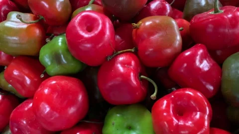 Video Aji Stock Videos – Royalty-Free HD & 4K Videos