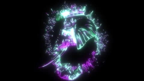 Sport King Video Stock Videos – Royalty-Free HD & 4K Videos