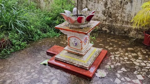A video of a holy basil pot or tulsi tem... | Stock Video | Pond5
