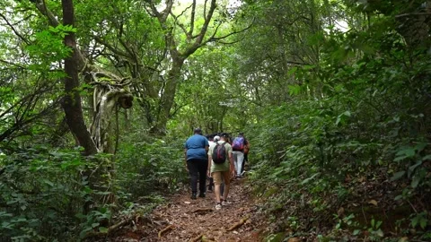 Motivation Indian Video Stock Videos – Royalty-Free HD & 4K Videos | Pond5