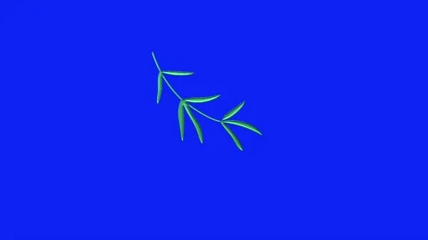 Video loop animation of a moving flower ... | Stock Video | Pond5