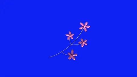 Video loop animation of a moving flower ... | Stock Video | Pond5