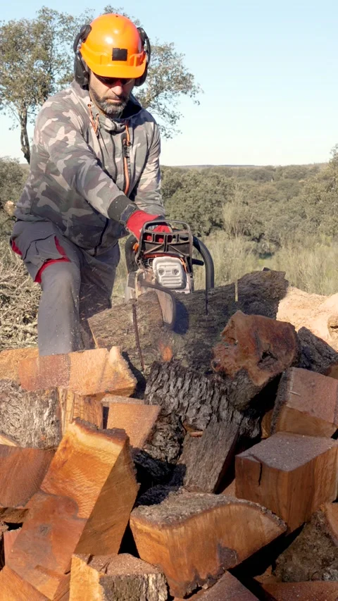 Imag Of Stock Videos – Royalty-Free HD & 4K Videos