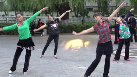 Video Dan Stock Videos – Royalty-Free HD & 4K Videos