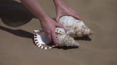 Shell Picking Stock Video Footage | Royalty Free Shell Picking Videos ...