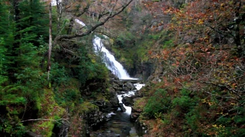 Video, Pistyll y Cain Waterfall in Coed... | Stock Video | Pond5