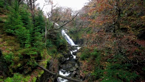 Video, Pistyll y Cain Waterfall in Coed ... | Stock Video | Pond5