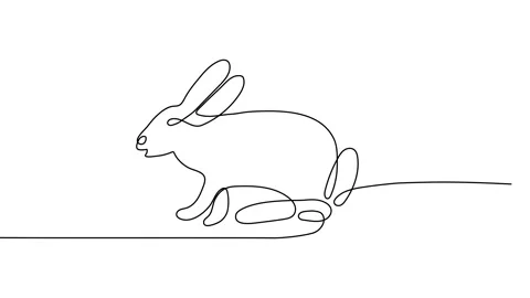 Rabbit Outline Stock Video Footage | Royalty Free Rabbit Outline Videos ...