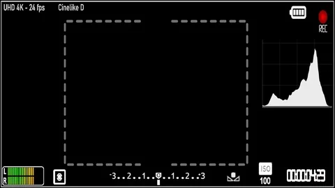 Record Overlay Stock Videos – Royalty-Free HD & 4K Videos | Pond5