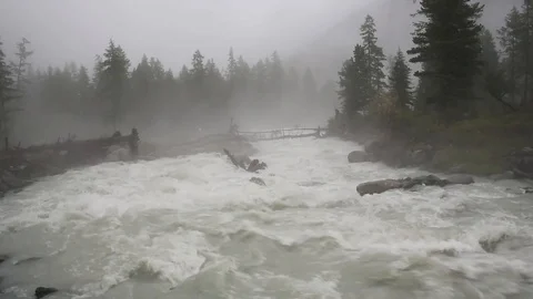 Spring Show Video Stock Videos – Royalty-Free HD & 4K Videos | Pond5