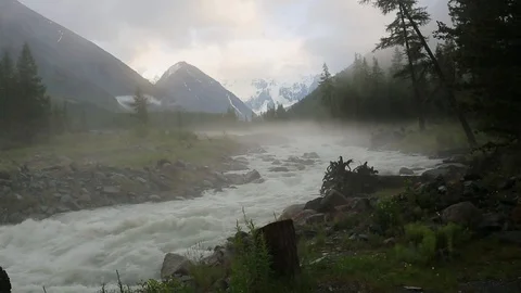 Spring Show Video Stock Videos – Royalty-Free HD & 4K Videos | Pond5