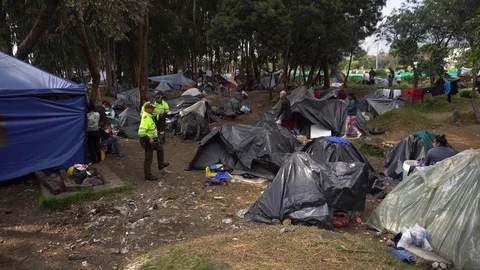 Daily Show Videos Stock Videos – Royalty-Free HD & 4K Videos