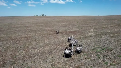 Six Open Video Stock Videos – Royalty-Free HD & 4K Videos