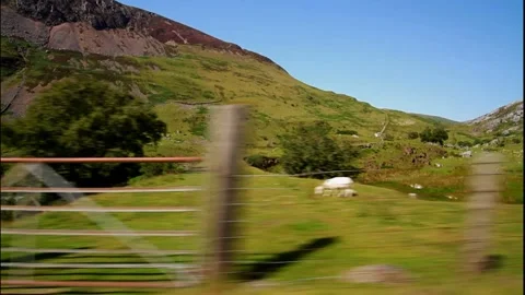 Hot Sixe Video Stock Videos – Royalty-Free HD & 4K Videos | Pond5