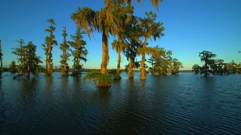 Video Tour With Stock Videos – Royalty-Free HD & 4K Videos | Pond5