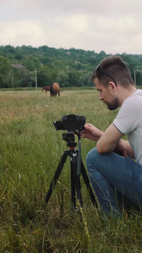 Horses Video Stock Videos – Royalty-Free HD & 4K Videos | Page 3