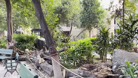 8Zoo Videos Stock Videos – Royalty-Free HD & 4K Videos | Pond5