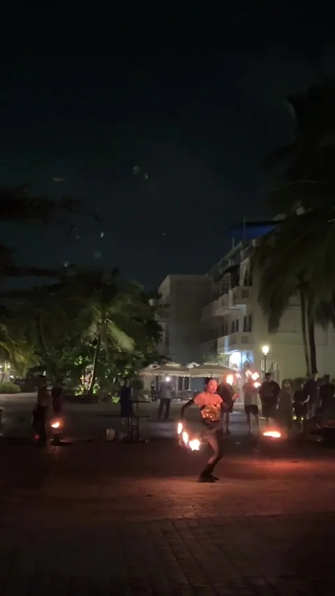 Show Chi Stock Videos – Royalty-Free HD & 4K Videos | Pond5