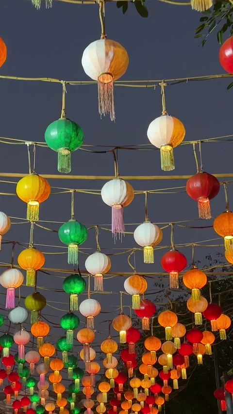 Asian Grandp Stock Videos – Royalty-Free HD & 4K Videos