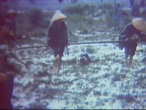 Vietnamese civilians drag dead Viet Cong... | Stock Video | Pond5