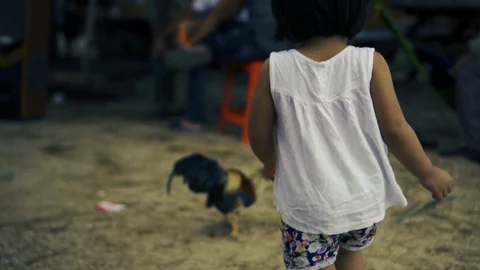 Chasing Chicken Stock Video Footage | Royalty Free Chasing Chicken ...