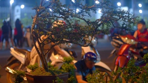 Buy S Stock Videos – Royalty-Free HD & 4K Videos