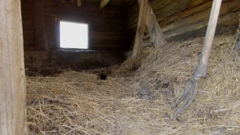 View in an antique Victorian cowshed. Ol... | Stock Video | Pond5