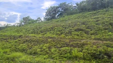 View of beautiful greenery from train wi... | Stock Video | Pond5