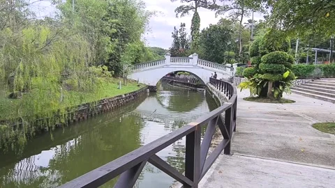 View of a beautiful white bridge surroun... | Stock Video | Pond5