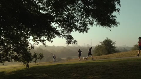 View from behind tree of people walking ... | Stock Video | Pond5