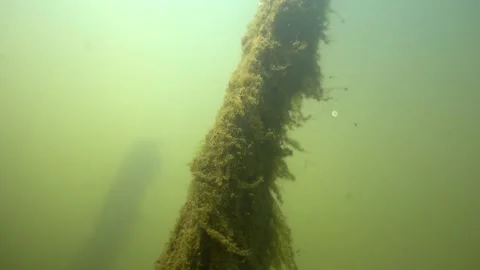 Underwater Lake Bottom Stock Video Footage | Royalty Free Underwater ...