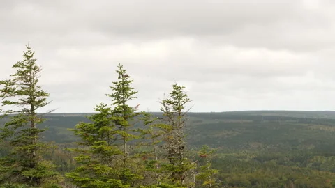 View from Cape Clear, Cape Breton, Nova ... | Stock Video | Pond5