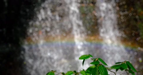 view of cascade stream with rainbow refl... | Stock Video | Pond5