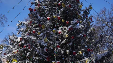 Christmas Par Stock Videos – Royalty-Free HD & 4K Videos