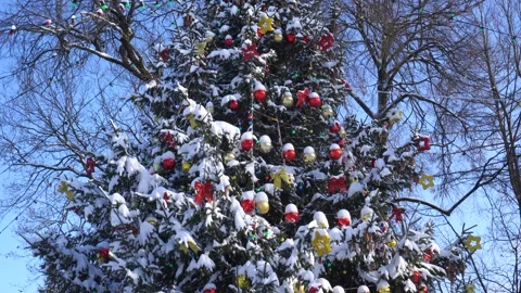 Christmas Par Stock Videos – Royalty-Free HD & 4K Videos