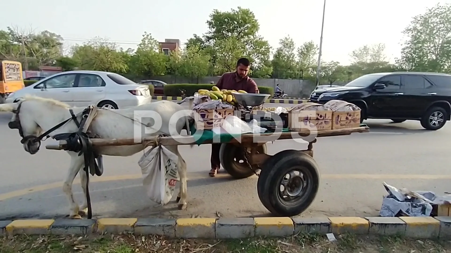 Donkey Fruit Vegetable Cart